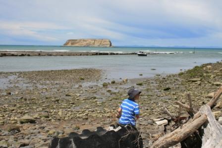 Cosy Toes: Motunau Beach Trip - New Zealand