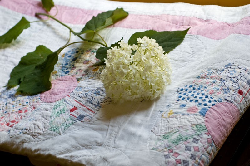 Sew Nancy: dresden plate quilt