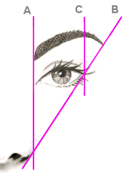EyeBrow Shaping-How to shape and Define Your Eyebrows ~ college adda