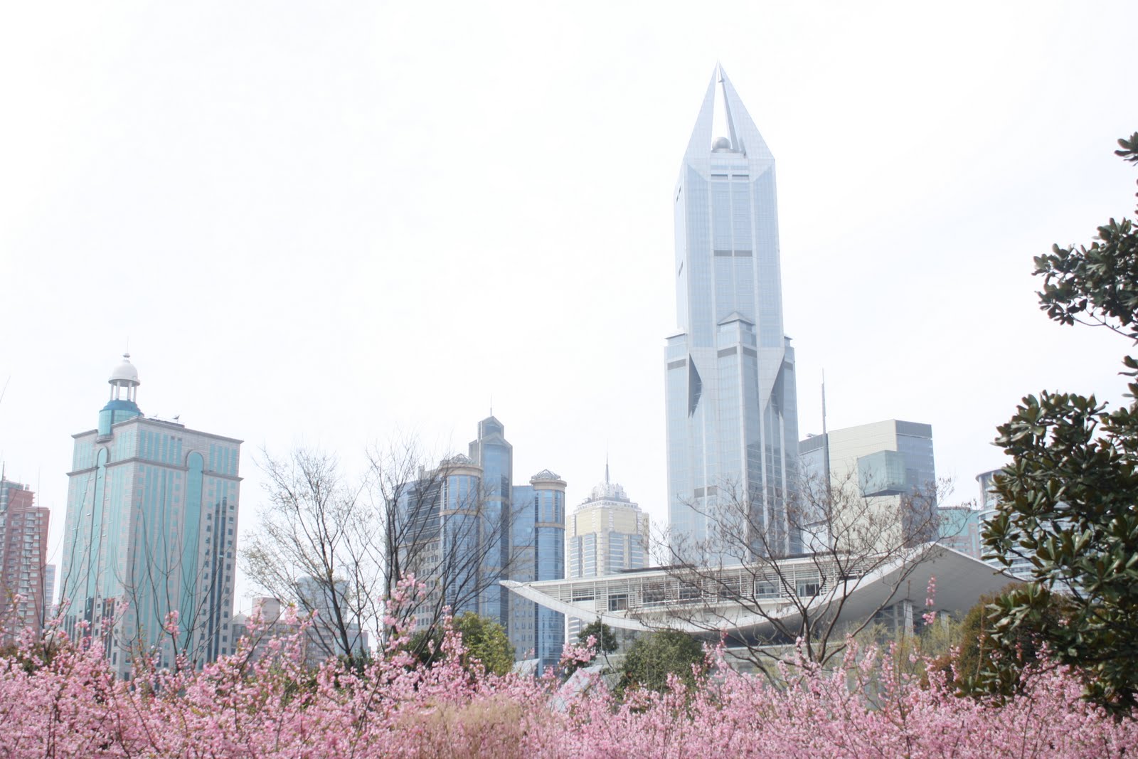 Out On a Date: SHANGHAI SPRING