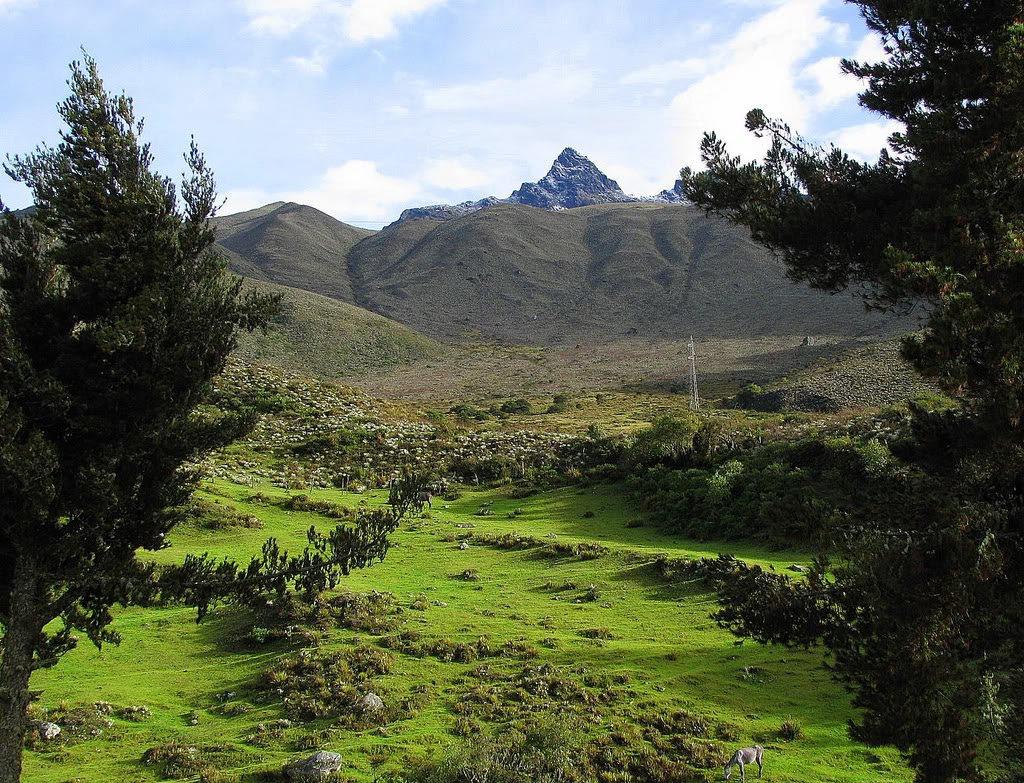 Venezuela Travelers: Nuestros Andes