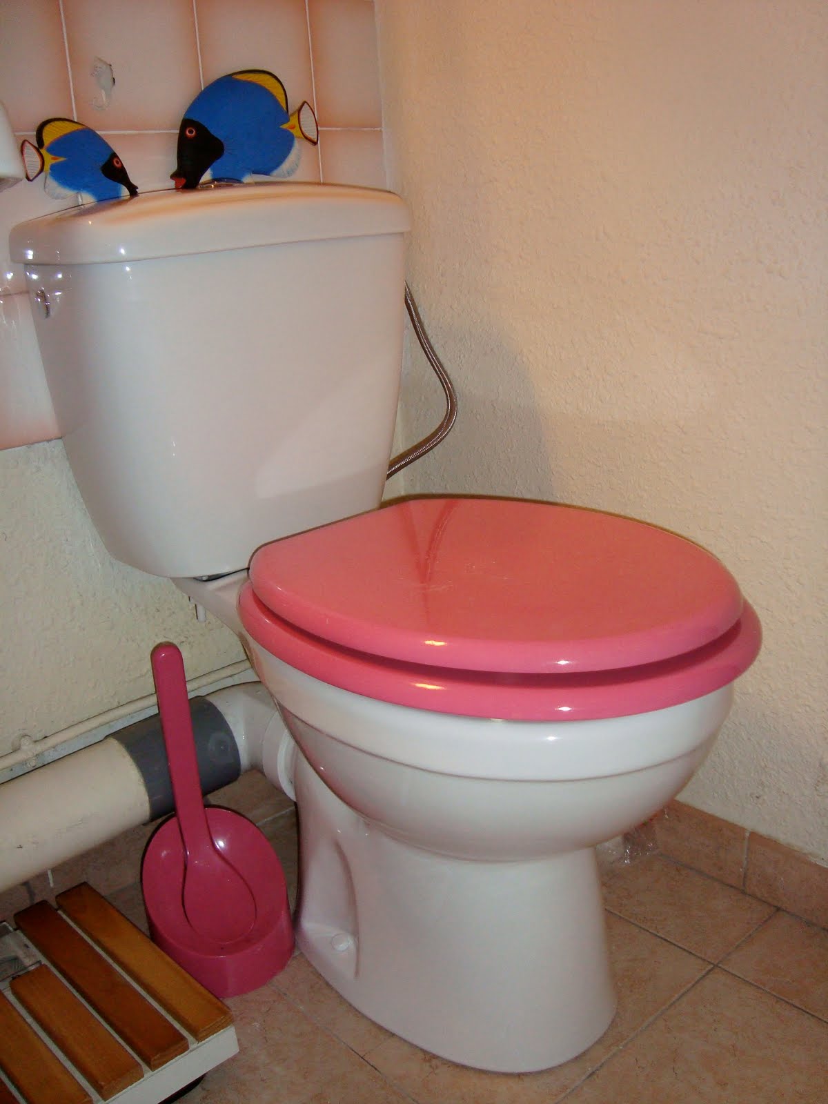 claireobscur: Non, ce n'est pas une journée de chiotte