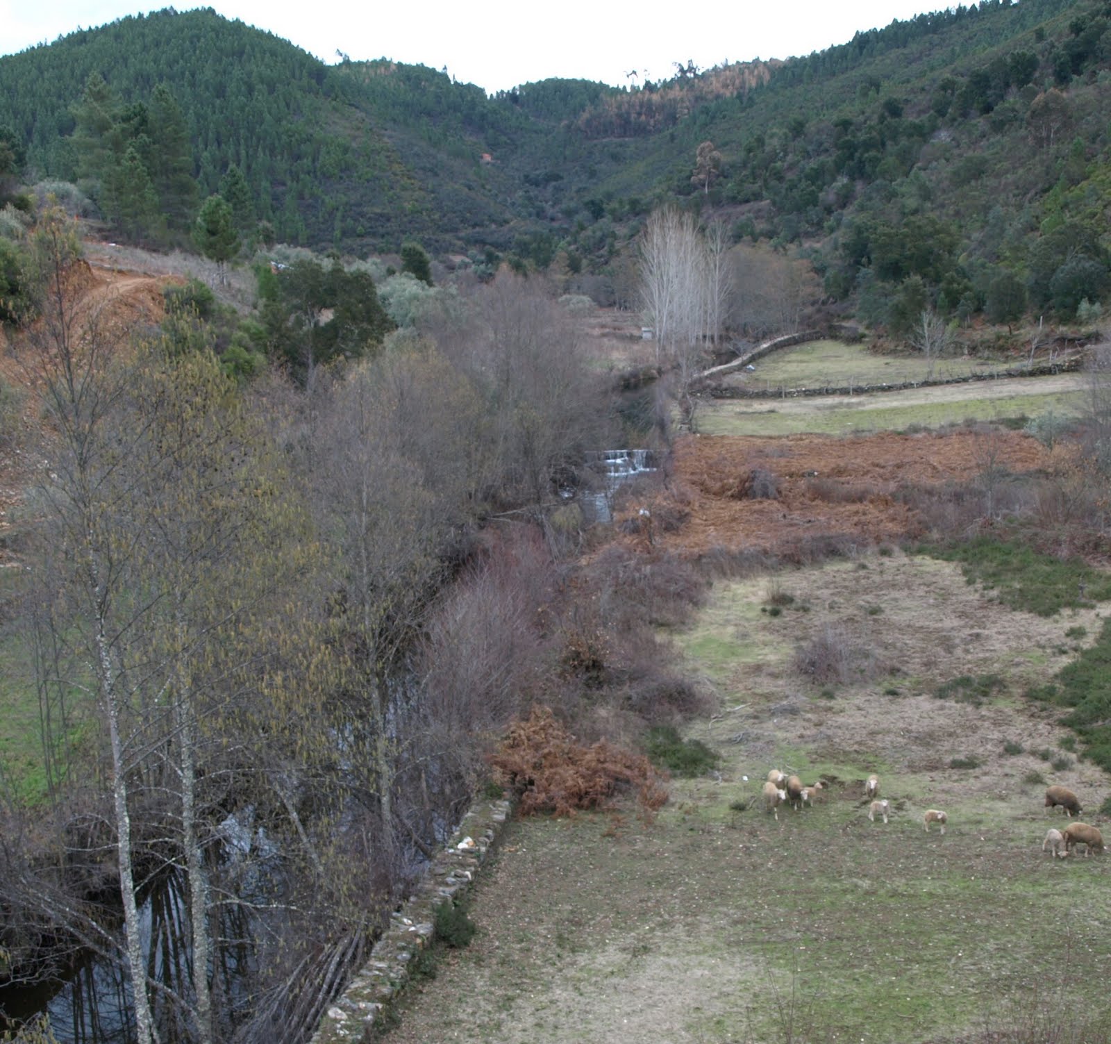 To Visit Portugal: Visit the Ribeira da Boga - Bogas de Baixo