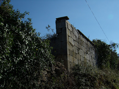 Vlad Y118 Alina Custom Set