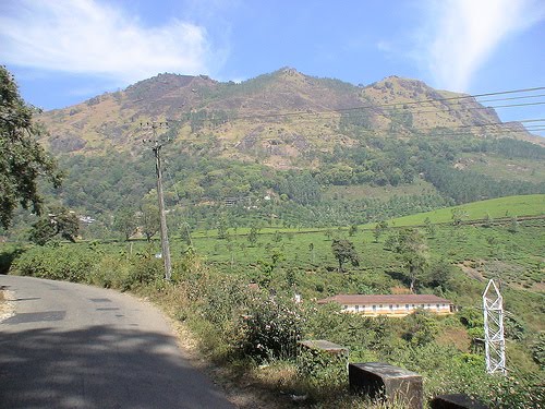 Chithirapuram, Attractions of Munnar, Chithirapuram Hill Station , How ...