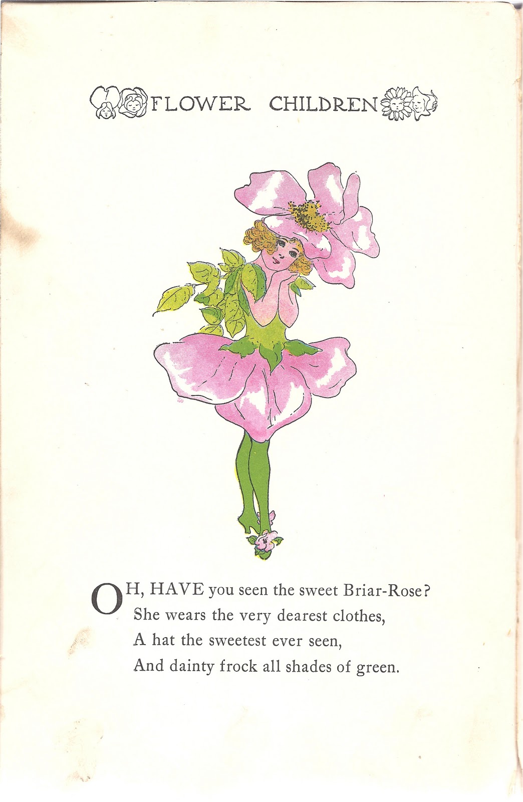 xRose Brier Studio (moved): My Favorite Pinks and a Giveaway