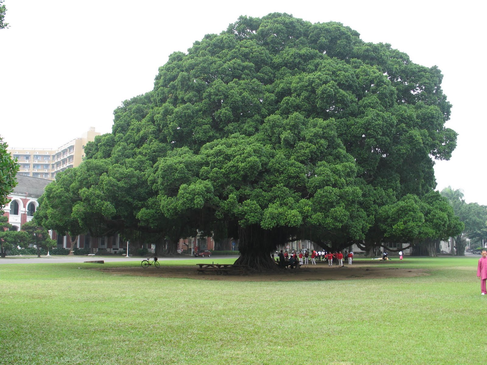 Shuengit / Swann Jie : MicroTotal Art, Monumental Sculpture, virtual ...