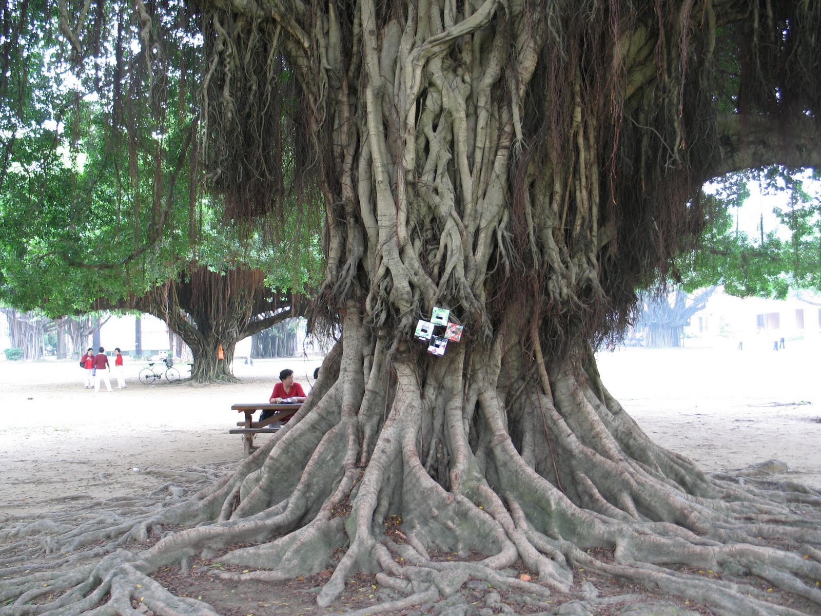 Shuengit / Swann Jie : MicroTotal Art, Monumental Sculpture, virtual ...
