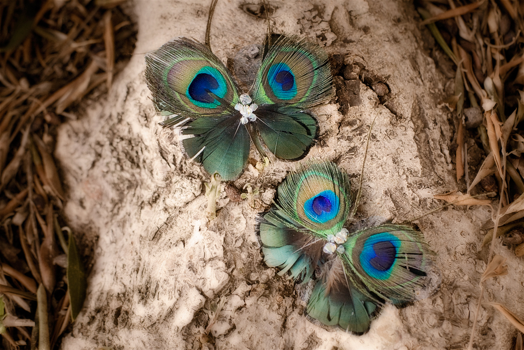 Petal & Thorn: Peacock Feather Butterflies for Gift Giving!