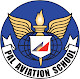 PAL AVIATION SCHOOL: Our Training Courses
