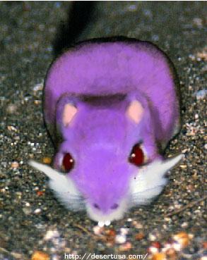 Shit Happens!: 2011-01-30