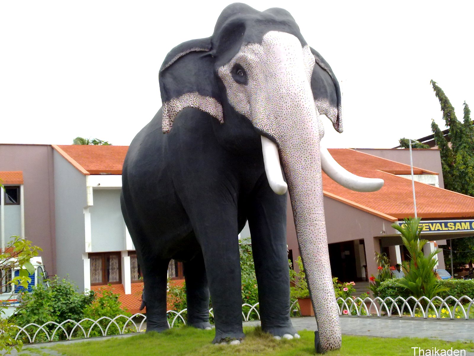 Thaikaden: Guruvayur Kesavan