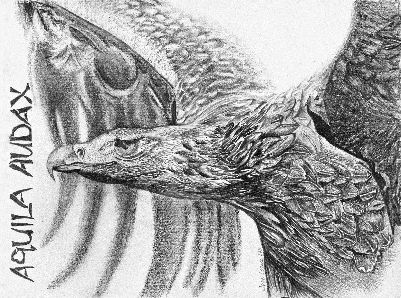 Our Baby Thomas: Arty things