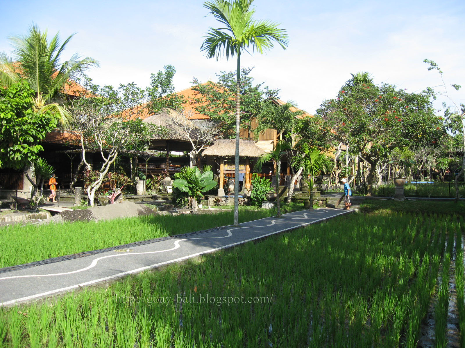 Goay's bali trip: Bebek Bengil dirty duck diner