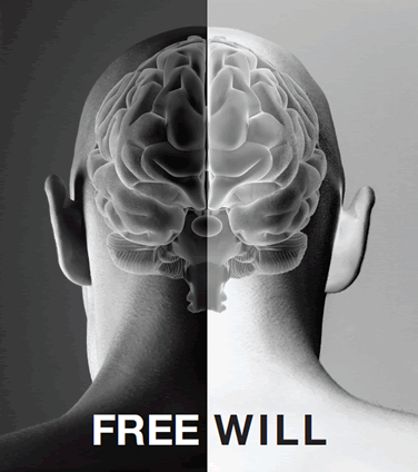 Jimbo's Blog: The Free Will Paradox - Part I: The Paradox