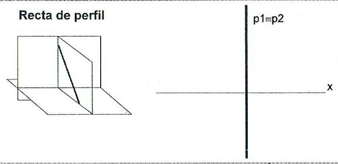 Dimensão Geométrica: A recta