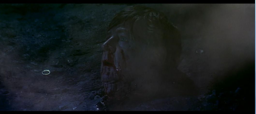 Tower Farm Reviews: Wolfen (1981)