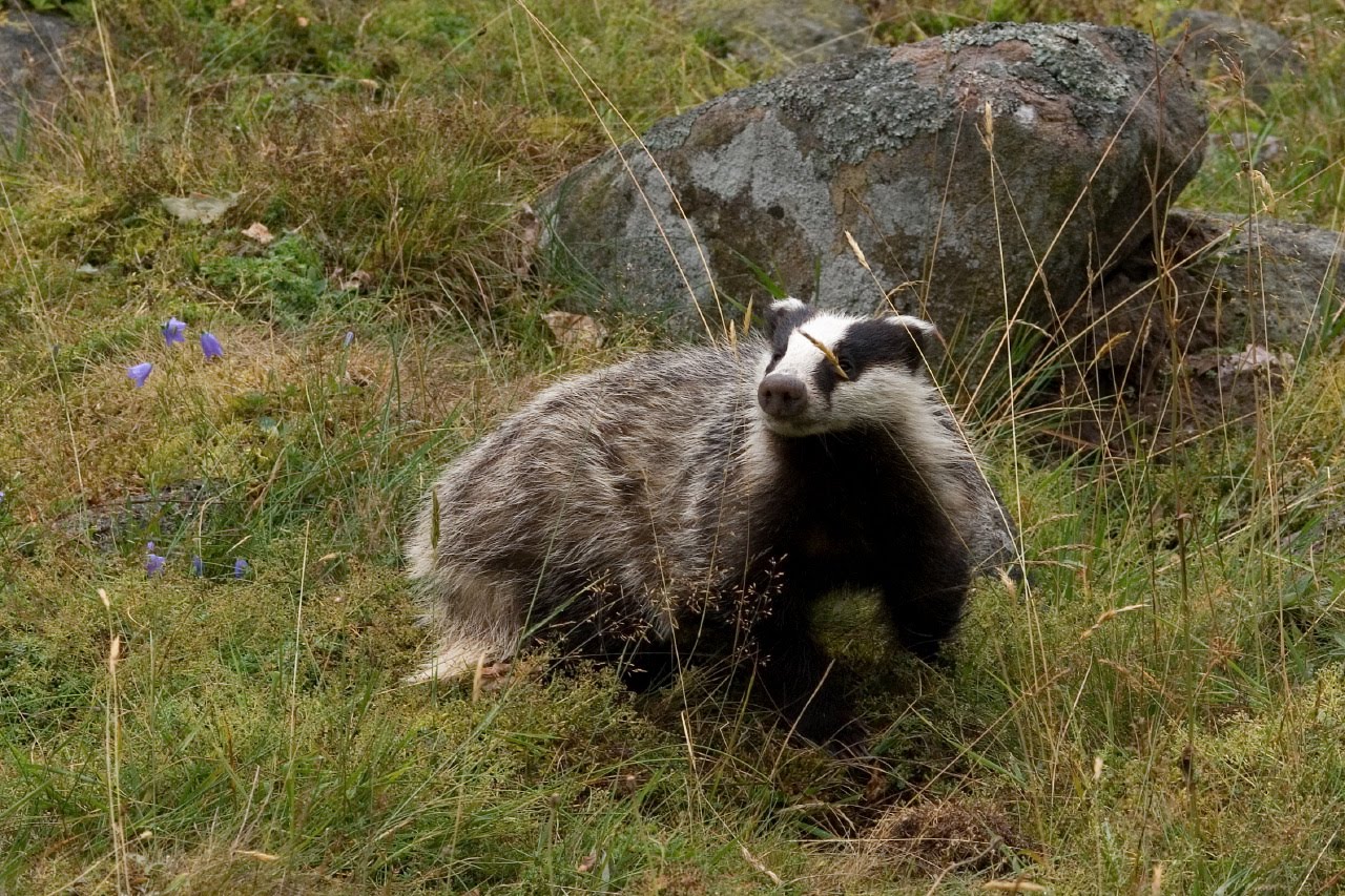 Ut i Sjöbo: Heinge strövområde