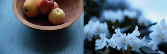 Habit of Art: Portland/Brooklyn Artist Series, Week 3: Stephanie ...