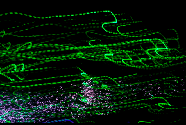 Habit of Art: Capturing night lights using motion photography