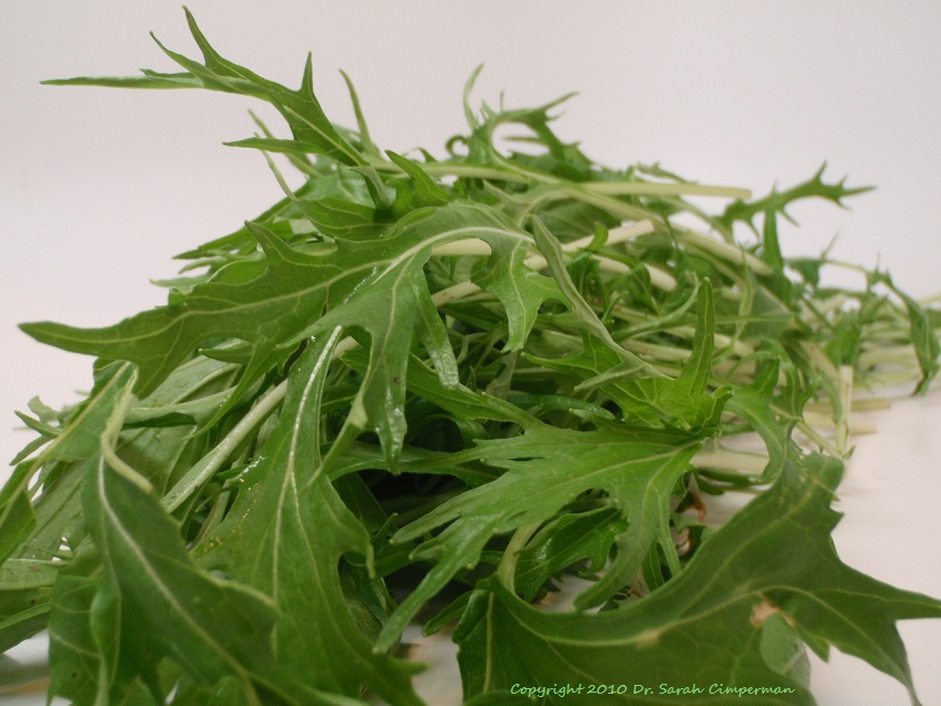 Mizuna with Tomatoes and Garlic