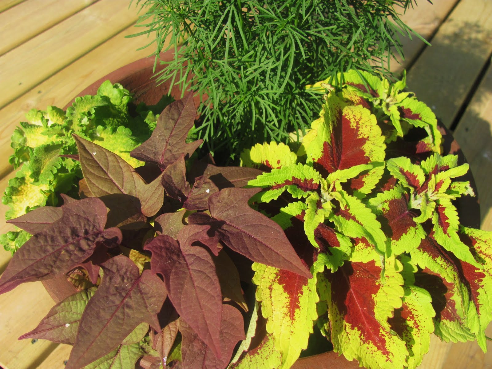 Pies and Aprons: Flower pot combos
