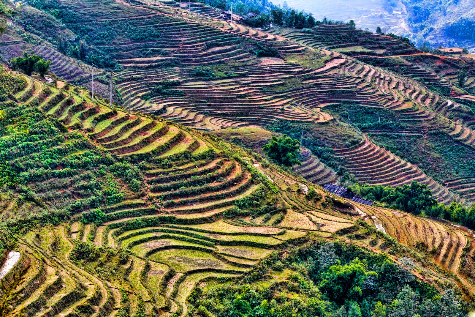 Chuck Kuhn's Vietnam in Photos: Sapa Rice Fields