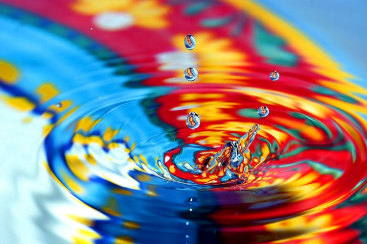 Hellen Câmara Photografia: As melhores fotos coloridas!