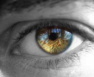 Hellen Câmara Photografia: OLHARES