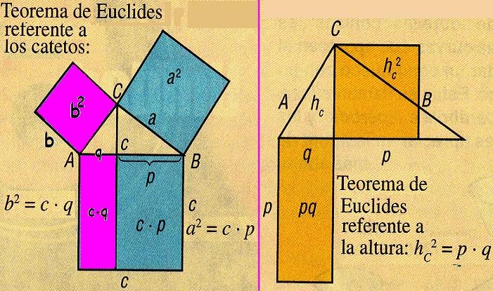 Diccionario Matematicas: Teorema Euclides - Imágenes