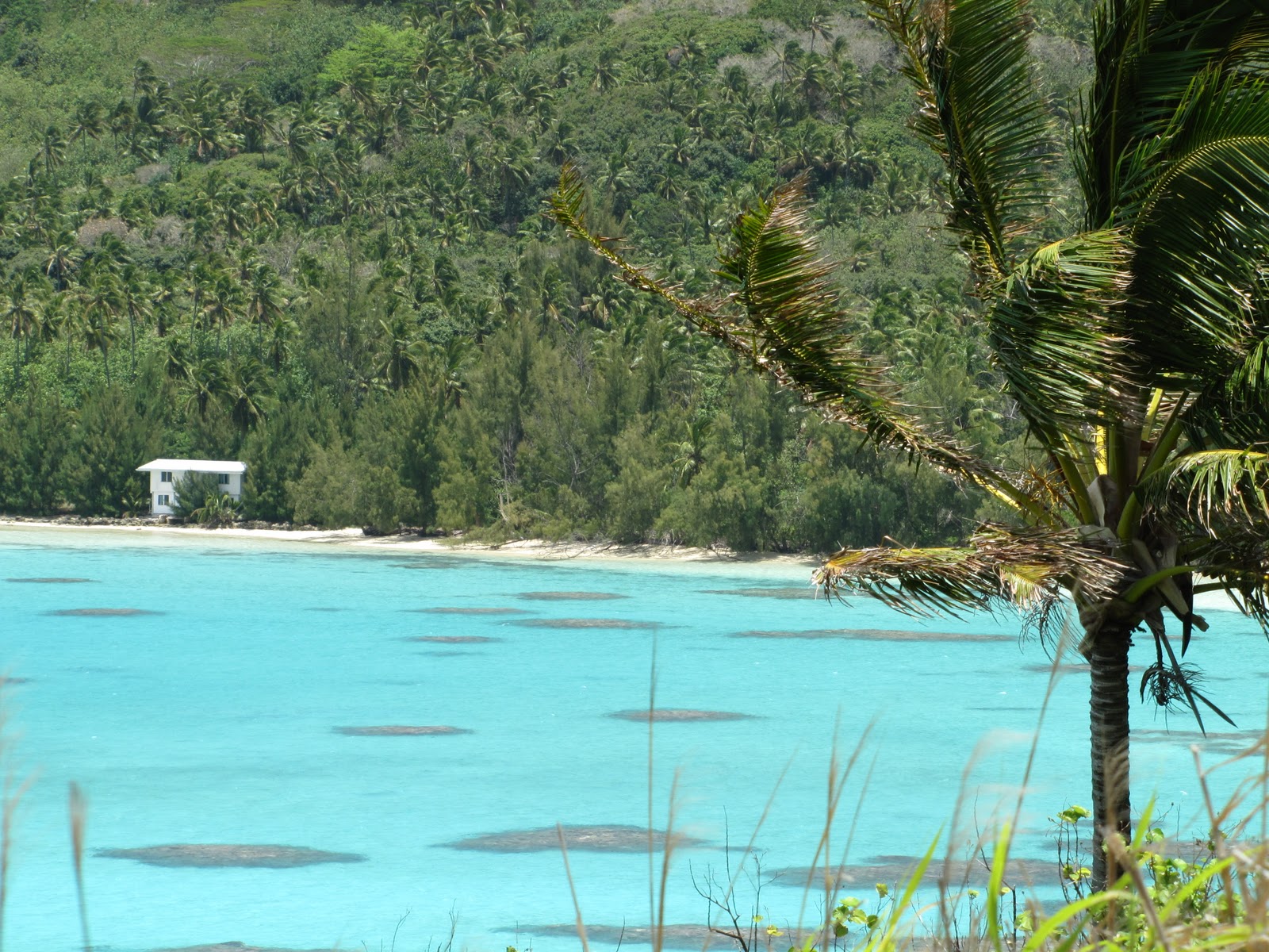 Tahitilife: RIKITEA archipel des GAMBIERS