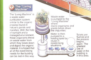 Green Doodles: The Adam Joseph Lewis Center for Environmental Studies