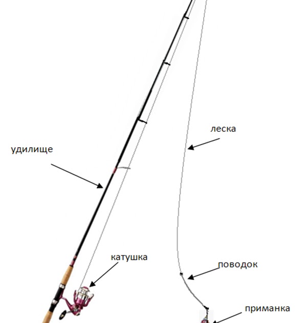 Устройство спиннинга - Все о спиннинге