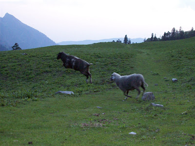 where the world lies: chander nahan