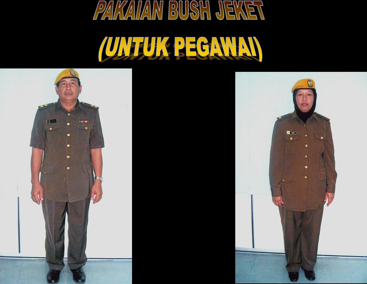 WARCANA RELA BACHANG: Tatacara Pemakaian Dalam RELA