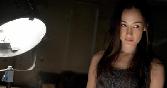 Operation Bulldog: 2010-11-21