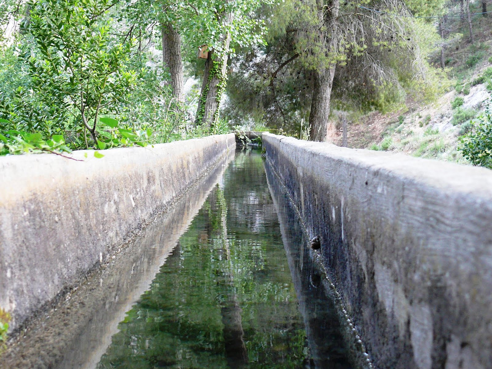 FOTOS JM.G: ACEQUIA BARRANCO MOLINOS