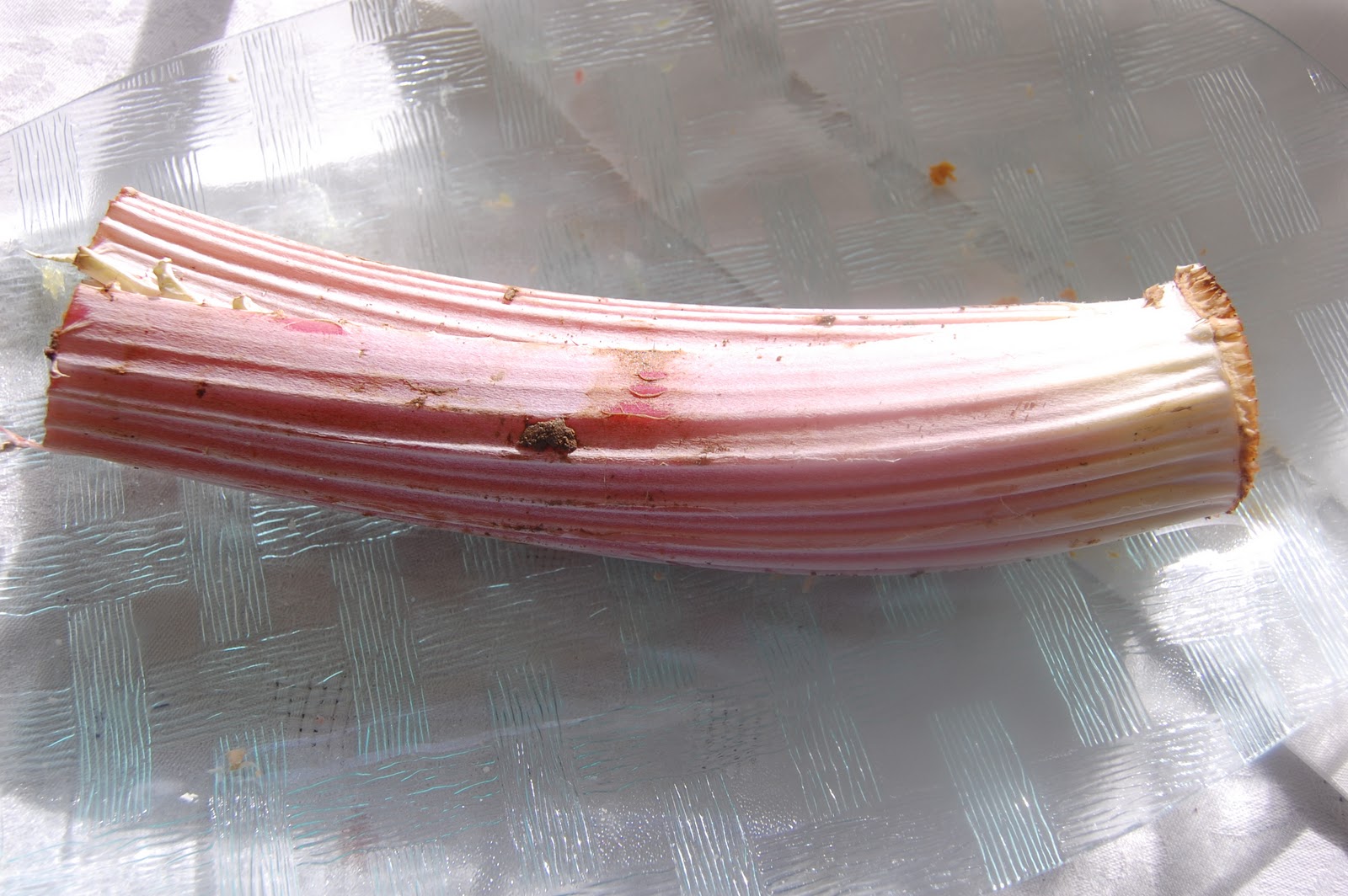 La Alacena de Charo Val: ÀGREDA GASTRONÓMICA//CARDO ROJO DE ÁGREDA//LA ...