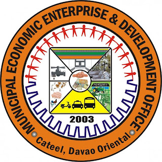 Cateel Online: The Creation of the MEEDO in the LGU-Cateel