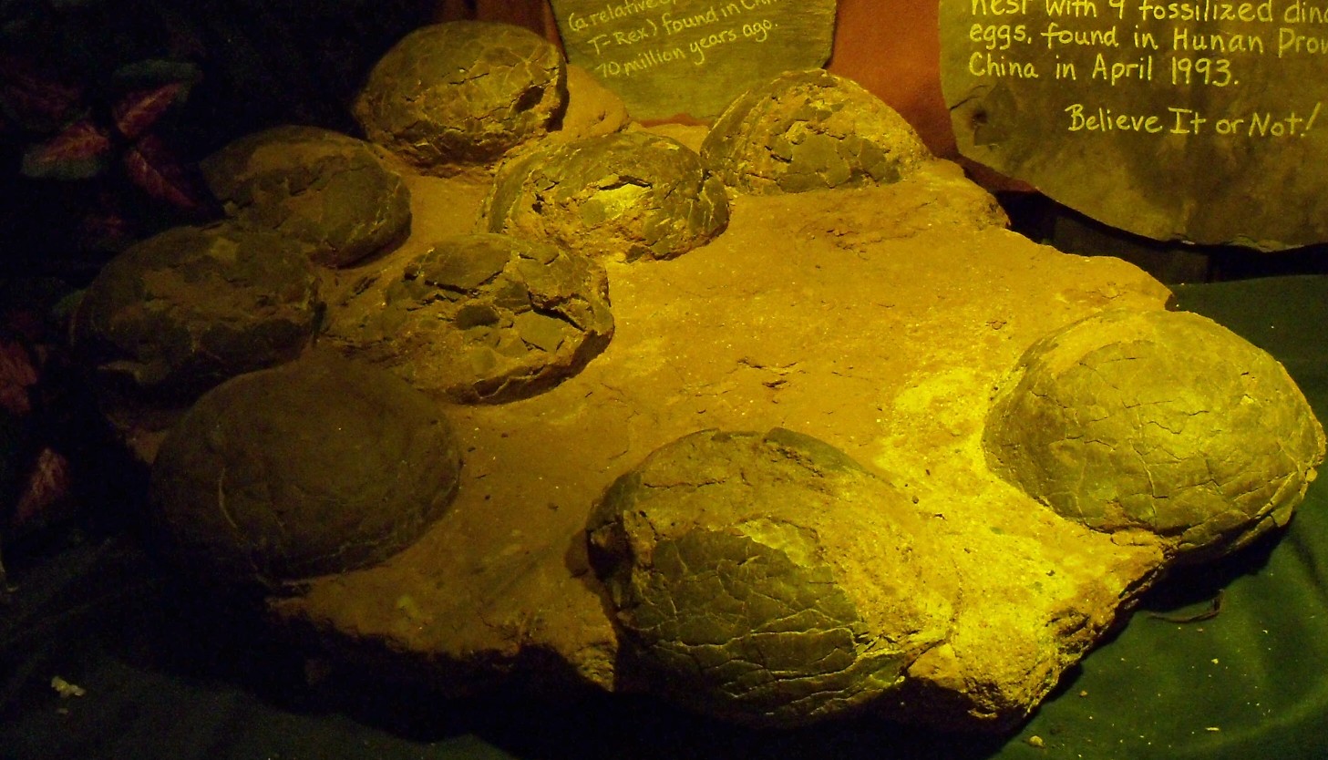 Ancient Digger Archaeology: Monday Ground Up: History Comes Alive At ...