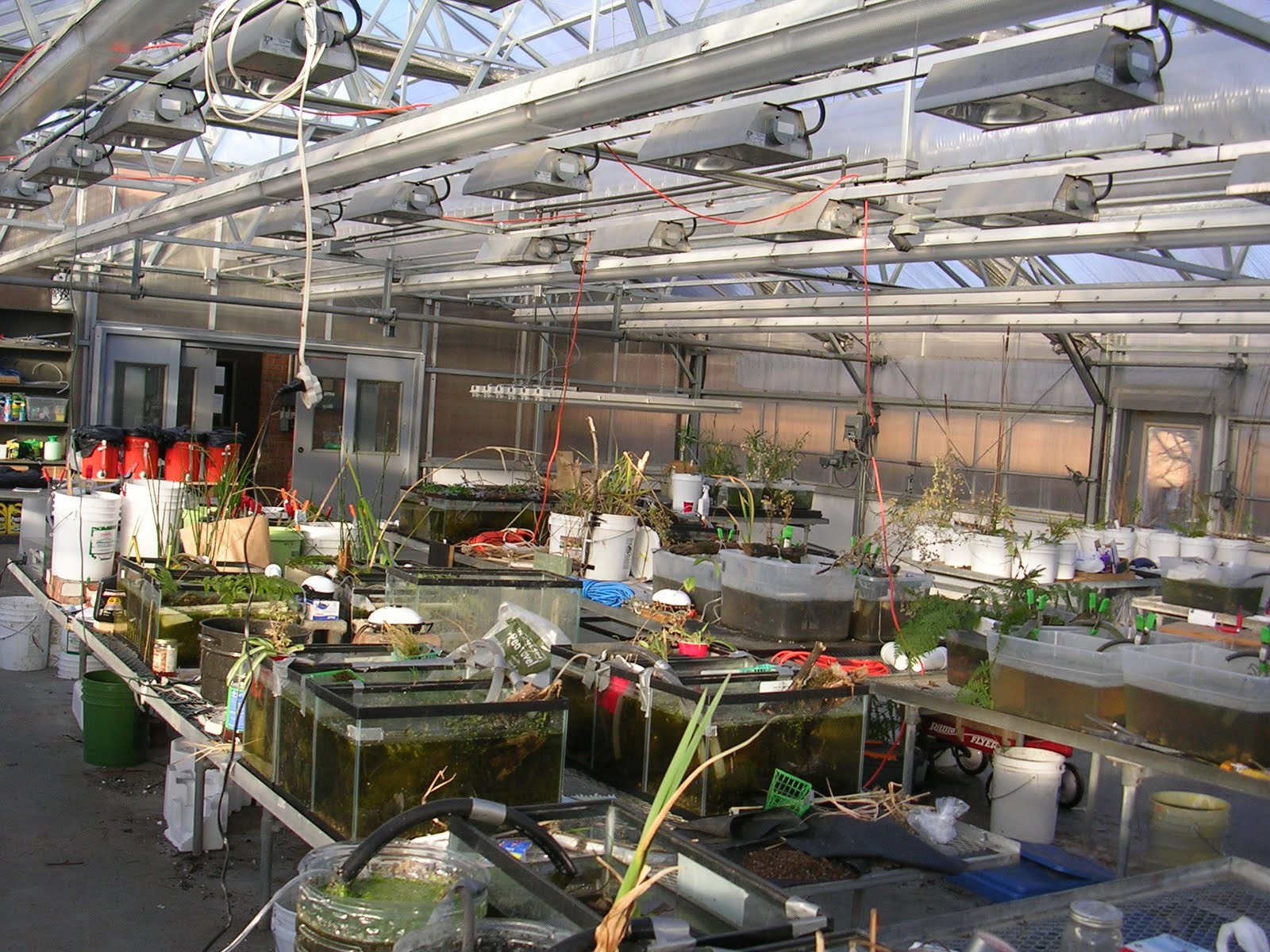 Supersede Convention!: Ecological Design with John Todd