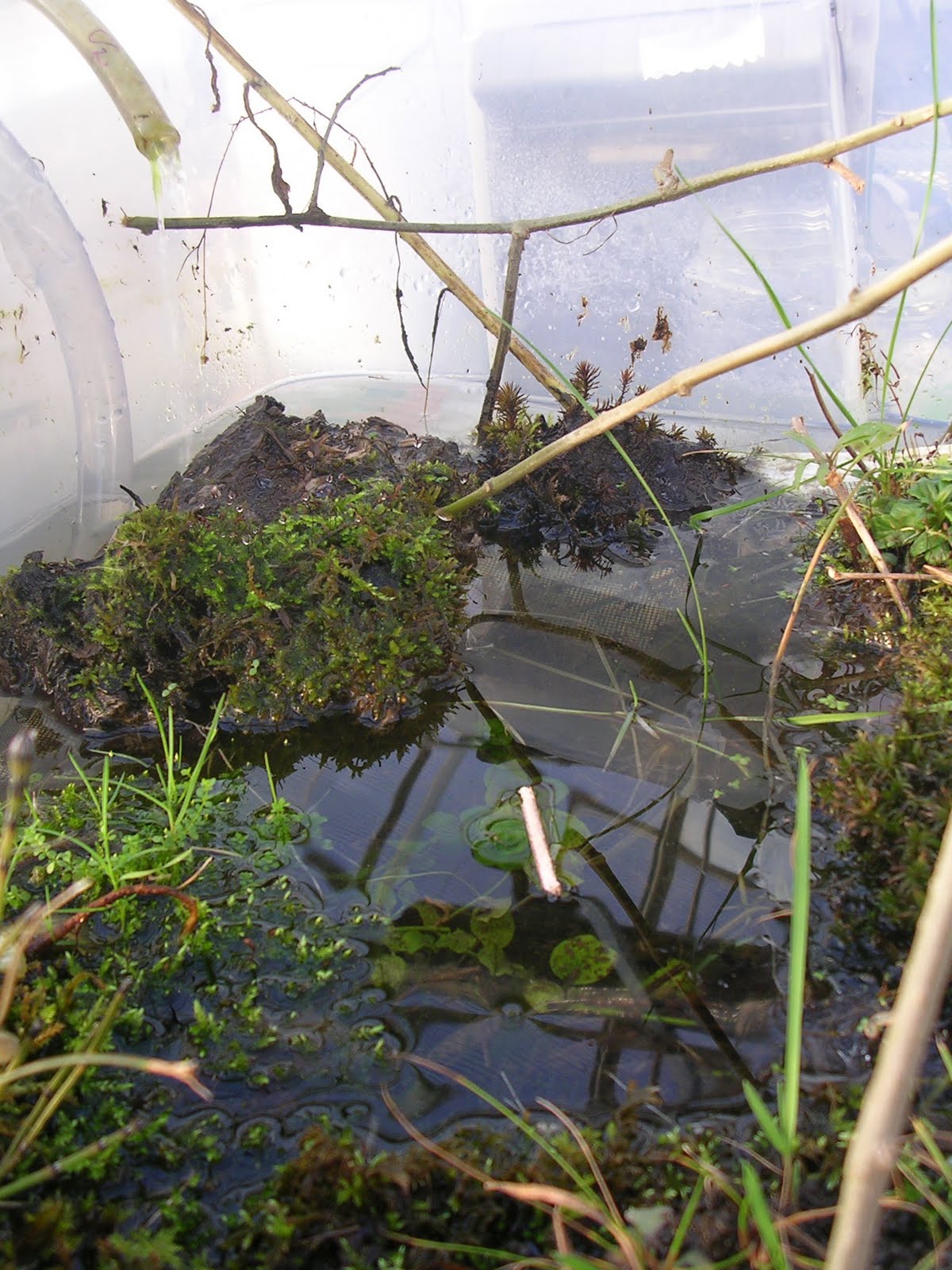 Supersede Convention!: Ecological Design with John Todd