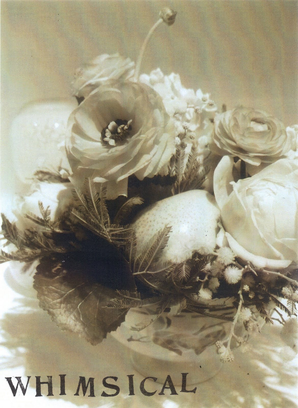 Jewel Box: Life In Sepia Tones