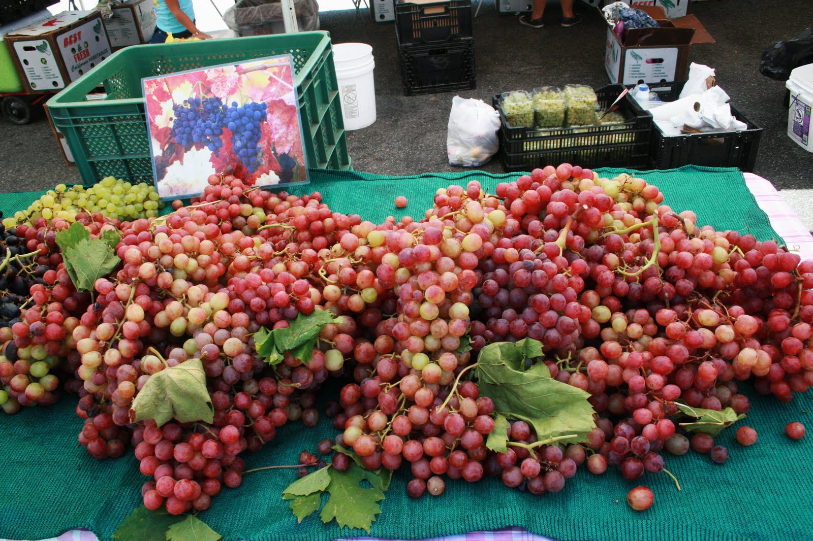 SEXY FOOD: Farmer's Market Review - Los Feliz