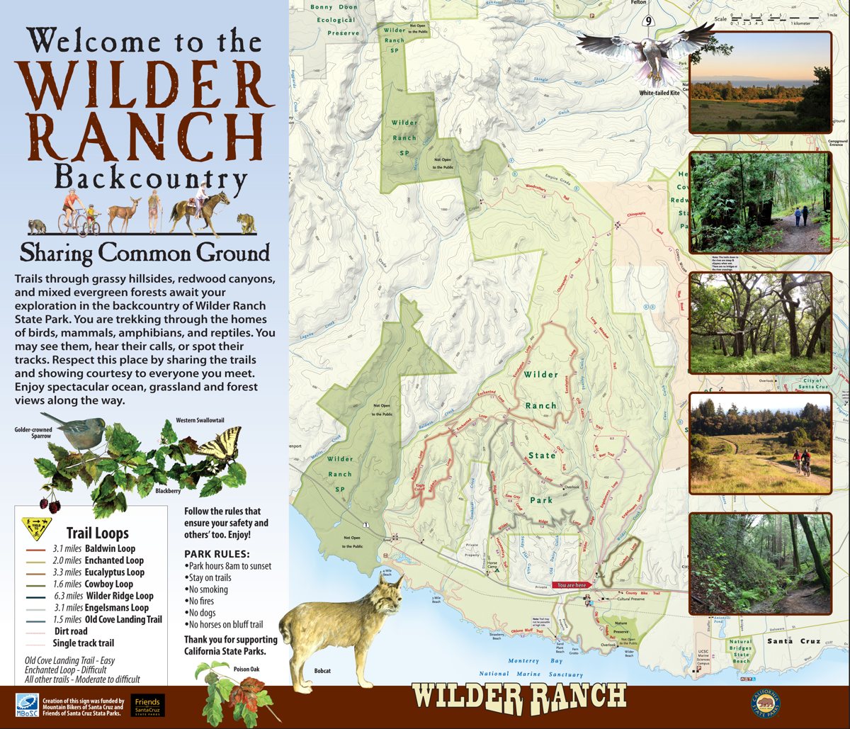 Mountain Bikers of Santa Cruz: Your Donations at Work: Wilder Ranch ...
