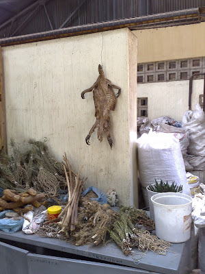 Barry M's Space: The Muti Market, Johannesburg, South Africa