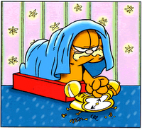 Best Friends Forever