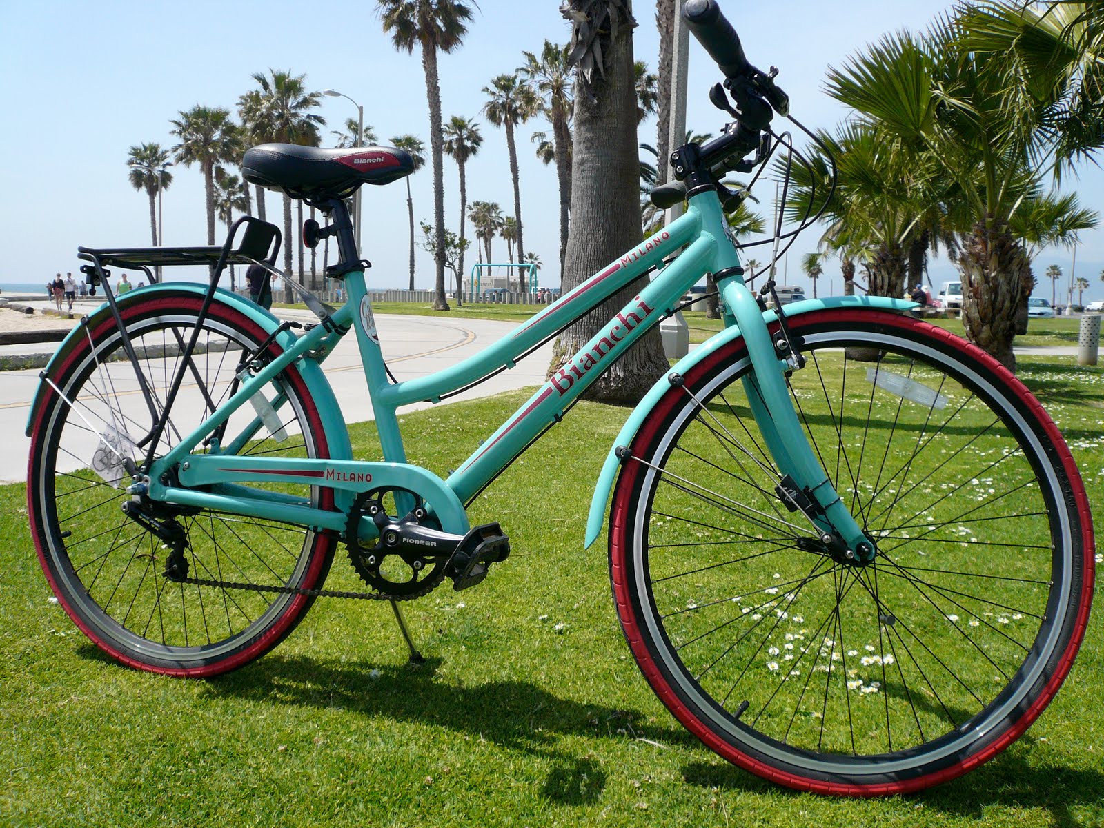 This Girl's Bike: Gratuitous Bianchi Beauty Shot.