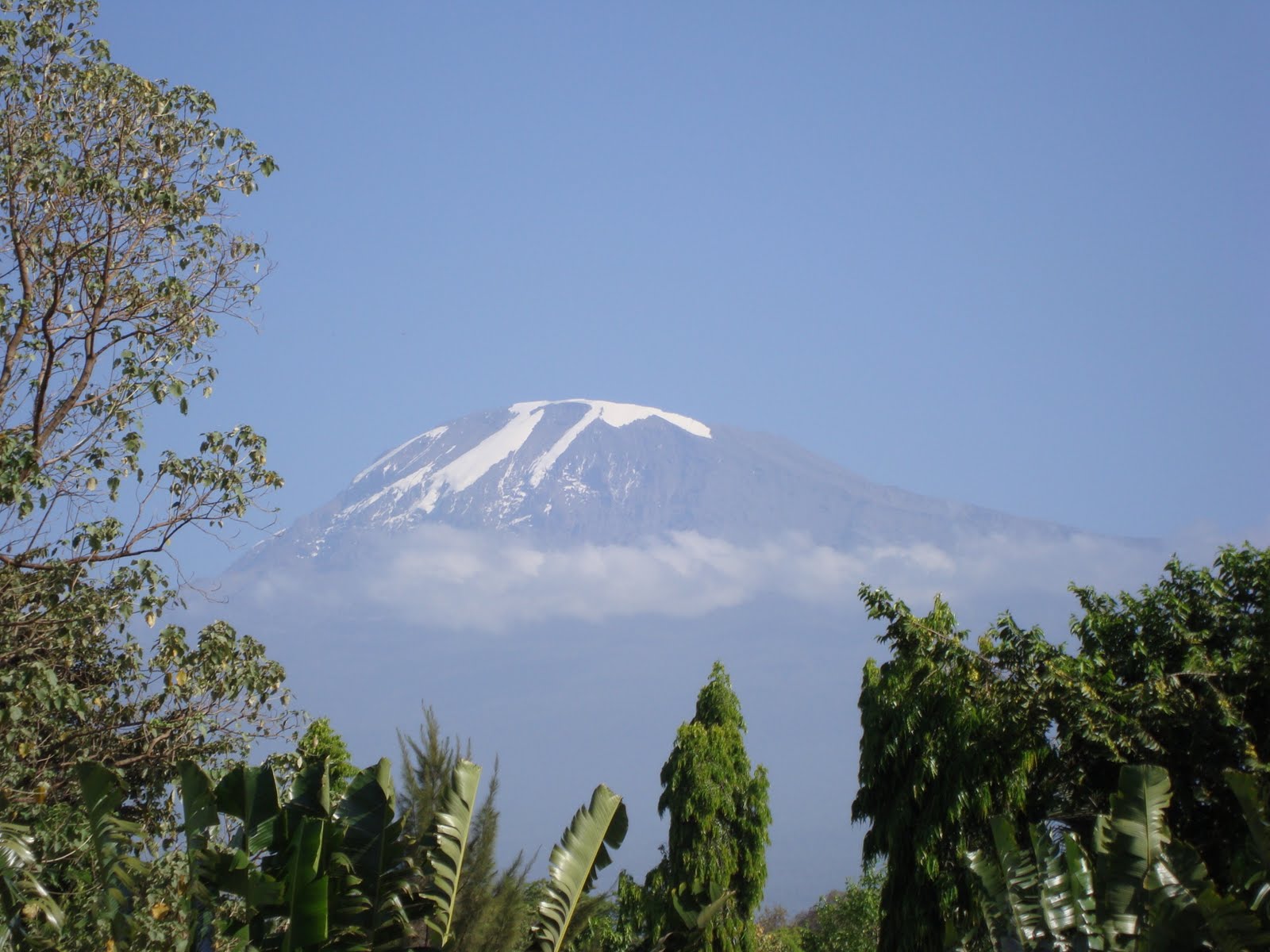 T-E-M-B-E-A Tanzania: Kwa ajili ya haki za binadamu...