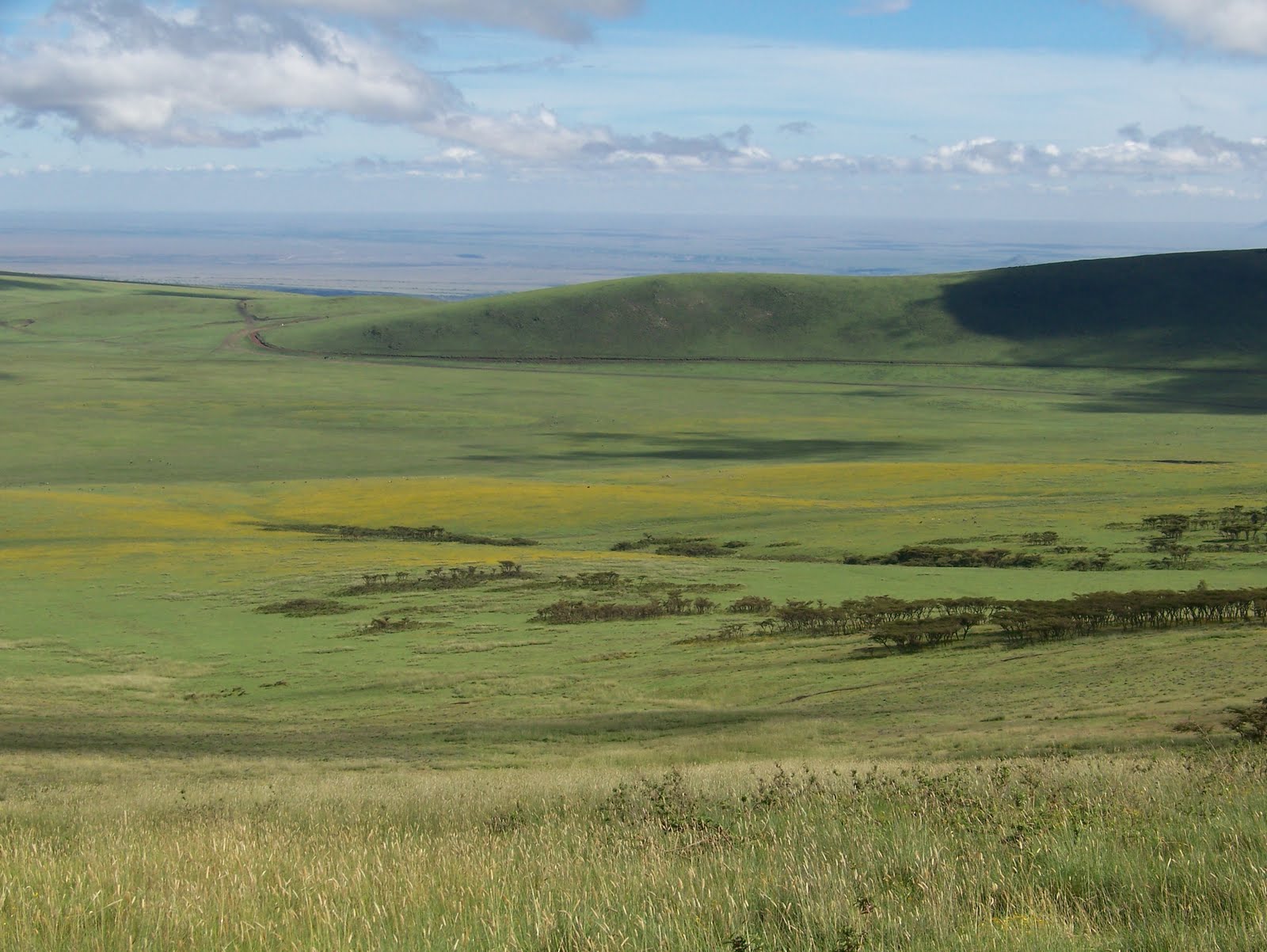 50 magical photos of Ngorongoro Crater Tanzania | BOOMSbeat